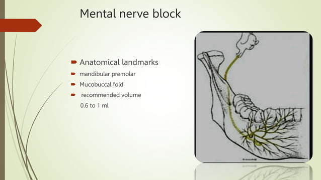 NERVE BLOCKS AND ANATOMICAL LANDMARKS IN PEDIATRIC DENTISTRY.pptx