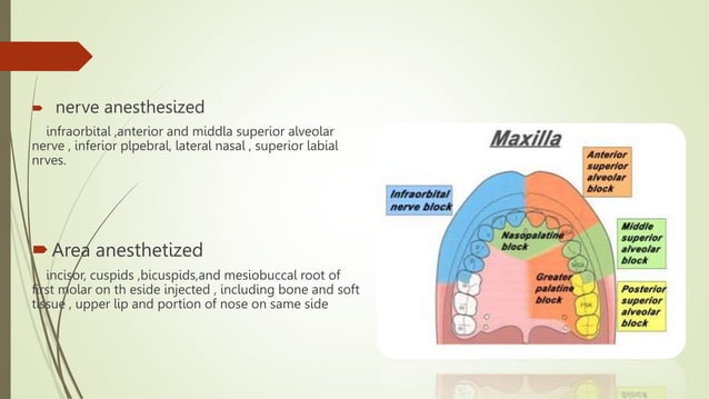NERVE BLOCKS AND ANATOMICAL LANDMARKS IN PEDIATRIC DENTISTRY.pptx