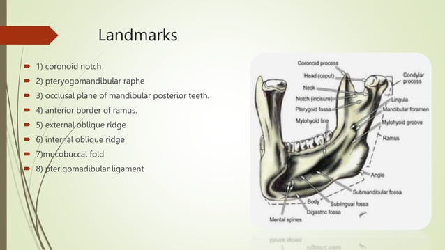 NERVE BLOCKS AND ANATOMICAL LANDMARKS IN PEDIATRIC DENTISTRY.pptx