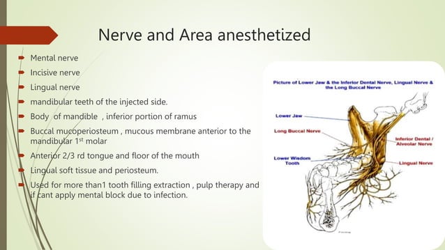 NERVE BLOCKS AND ANATOMICAL LANDMARKS IN PEDIATRIC DENTISTRY.pptx