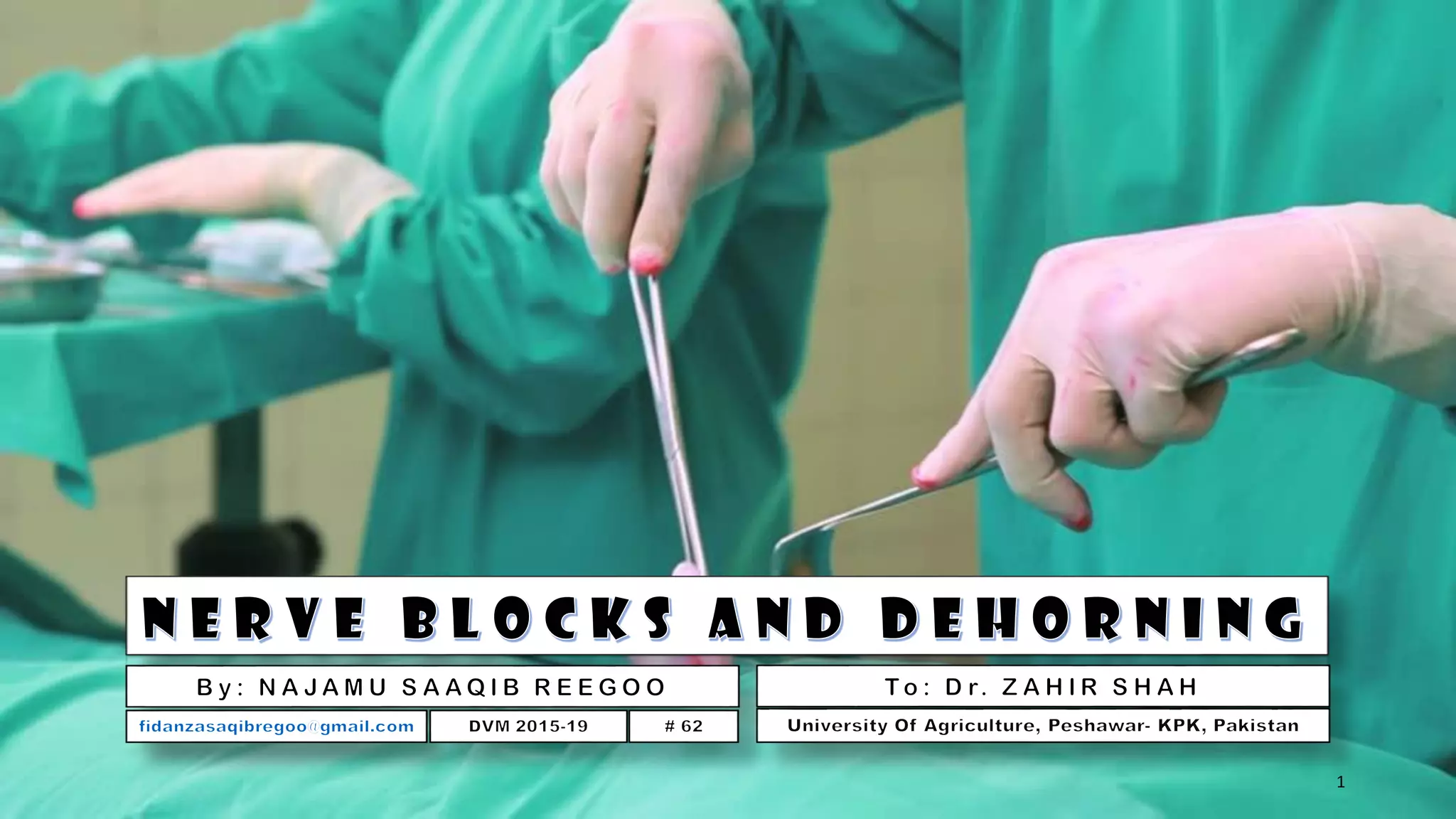 Nerve blocks and dehorning- By: Dr. Najmu Saaqib Reegoo DVM | PDF