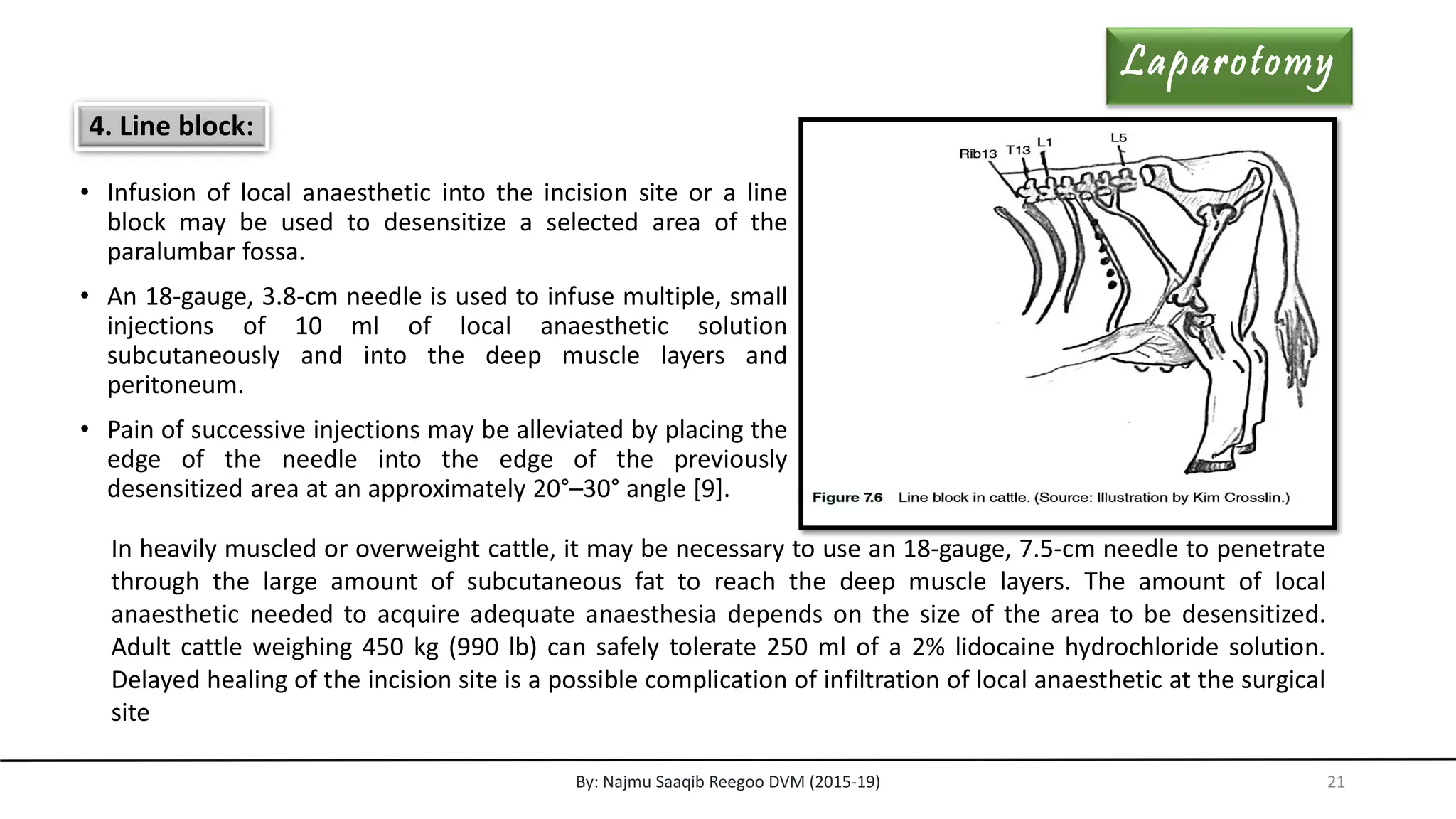 Nerve blocks and dehorning- By: Dr. Najmu Saaqib Reegoo DVM | PDF