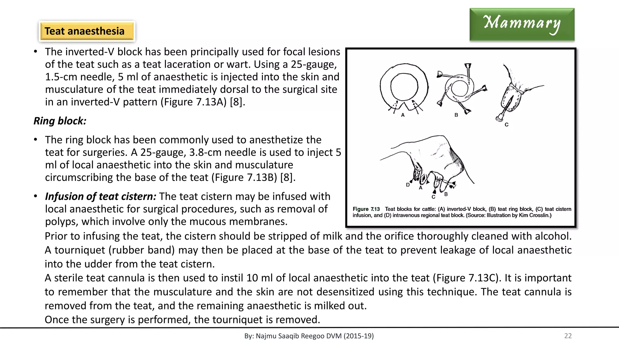 Nerve blocks and dehorning- By: Dr. Najmu Saaqib Reegoo DVM | PDF