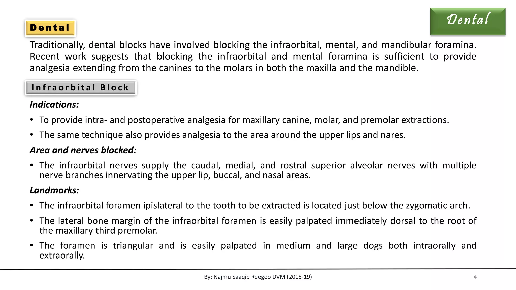 Nerve blocks and dehorning- By: Dr. Najmu Saaqib Reegoo DVM | PDF