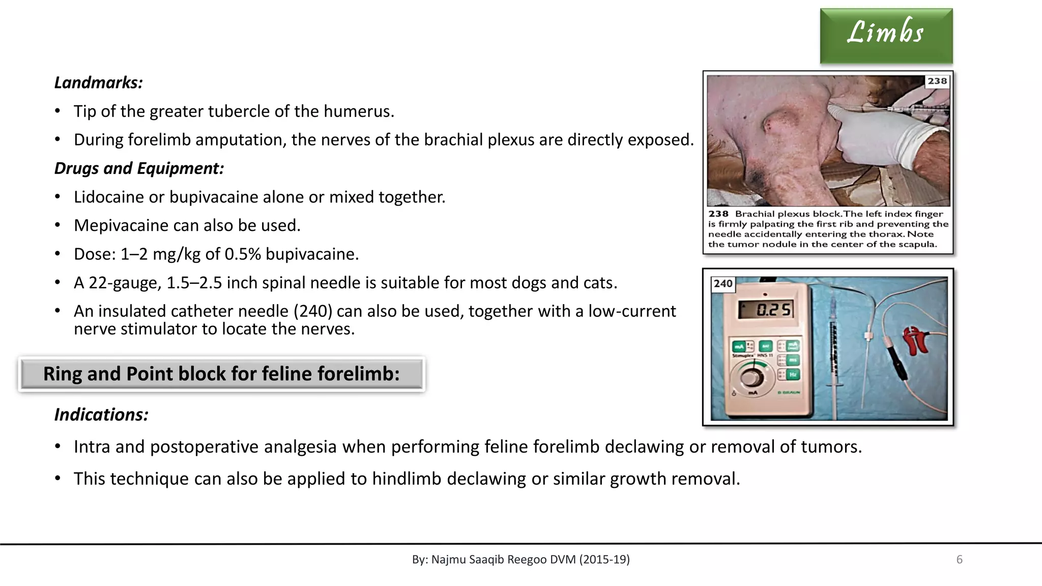 Nerve blocks and dehorning- By: Dr. Najmu Saaqib Reegoo DVM | PDF