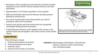 Nerve blocks and dehorning- By: Dr. Najmu Saaqib Reegoo DVM | PDF