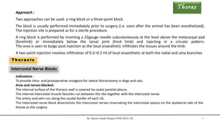 Nerve blocks and dehorning- By: Dr. Najmu Saaqib Reegoo DVM | PDF