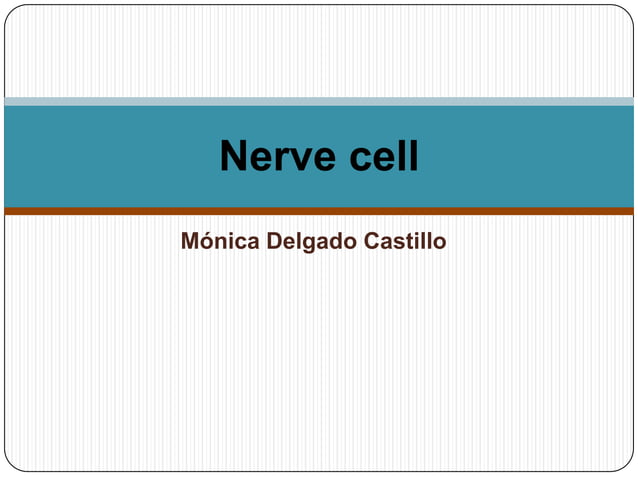 Nerve cell | PPTX