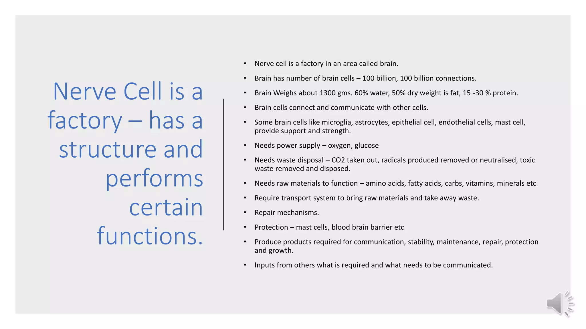 Nerve cell communication and functions in the brain | PPTX