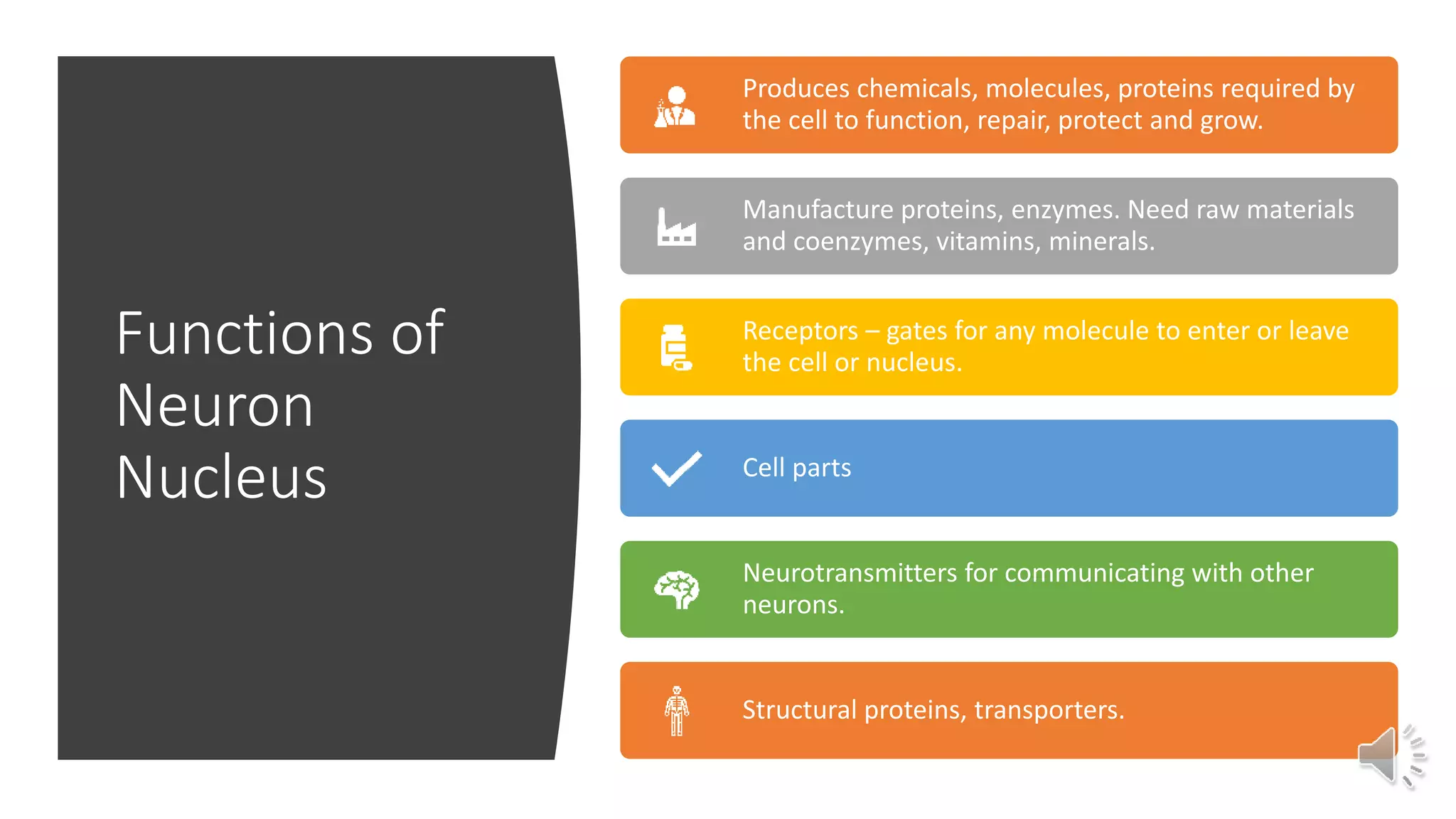 Nerve cell communication and functions in the brain | PPTX