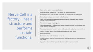 Nerve cell communication and functions in the brain | PPTX