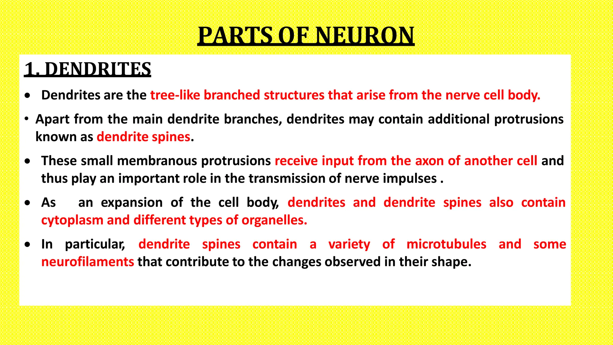 NERVE CELLS FINAL( NEURON AND GLIAL CELLS.pptx FOR NURSING STUDENTS | PPTX