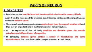 NERVE CELLS FINAL( NEURON AND GLIAL CELLS.pptx FOR NURSING STUDENTS | PPTX