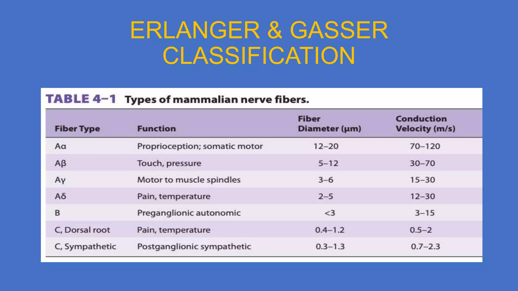 Nerve Classification Pptx