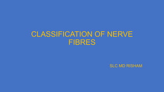 Nerve classification.pptx