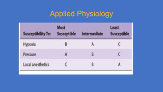 Nerve classification.pptx