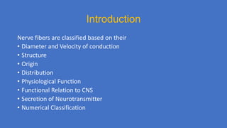 Nerve classification.pptx