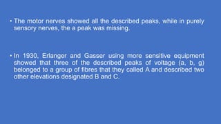 Nerve classification.pptx