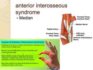 Peripheral Nerve compression syndrome | PPTX