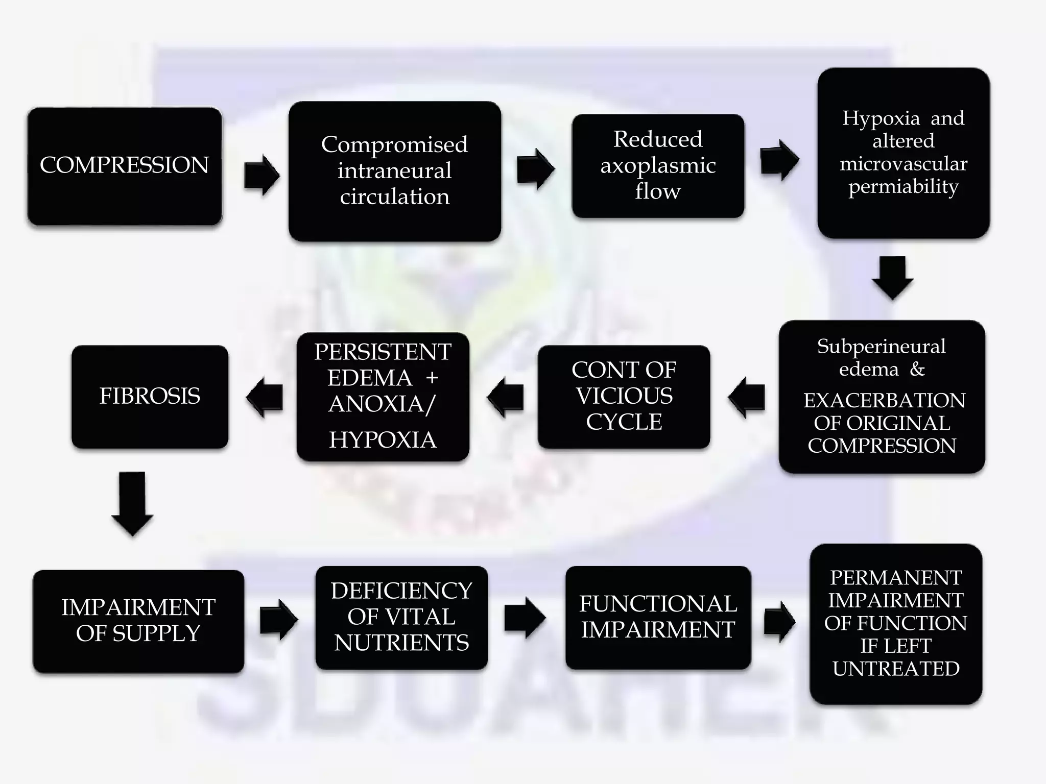 Nerve compression syndrome | PPTX