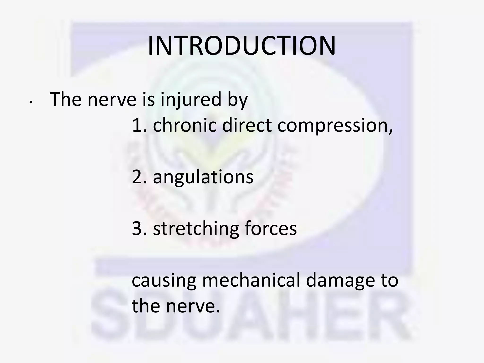 Nerve compression syndrome | PPTX