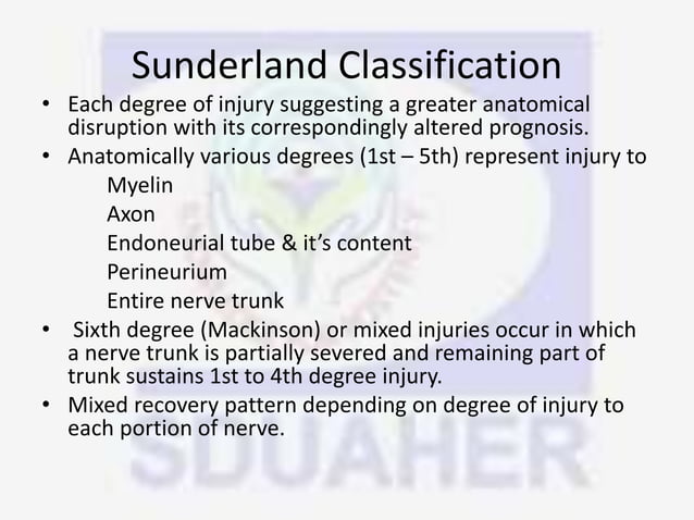 Nerve compression syndrome | PPTX