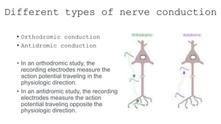 Nerve conduction Neurotransmitters NMJ.pptx