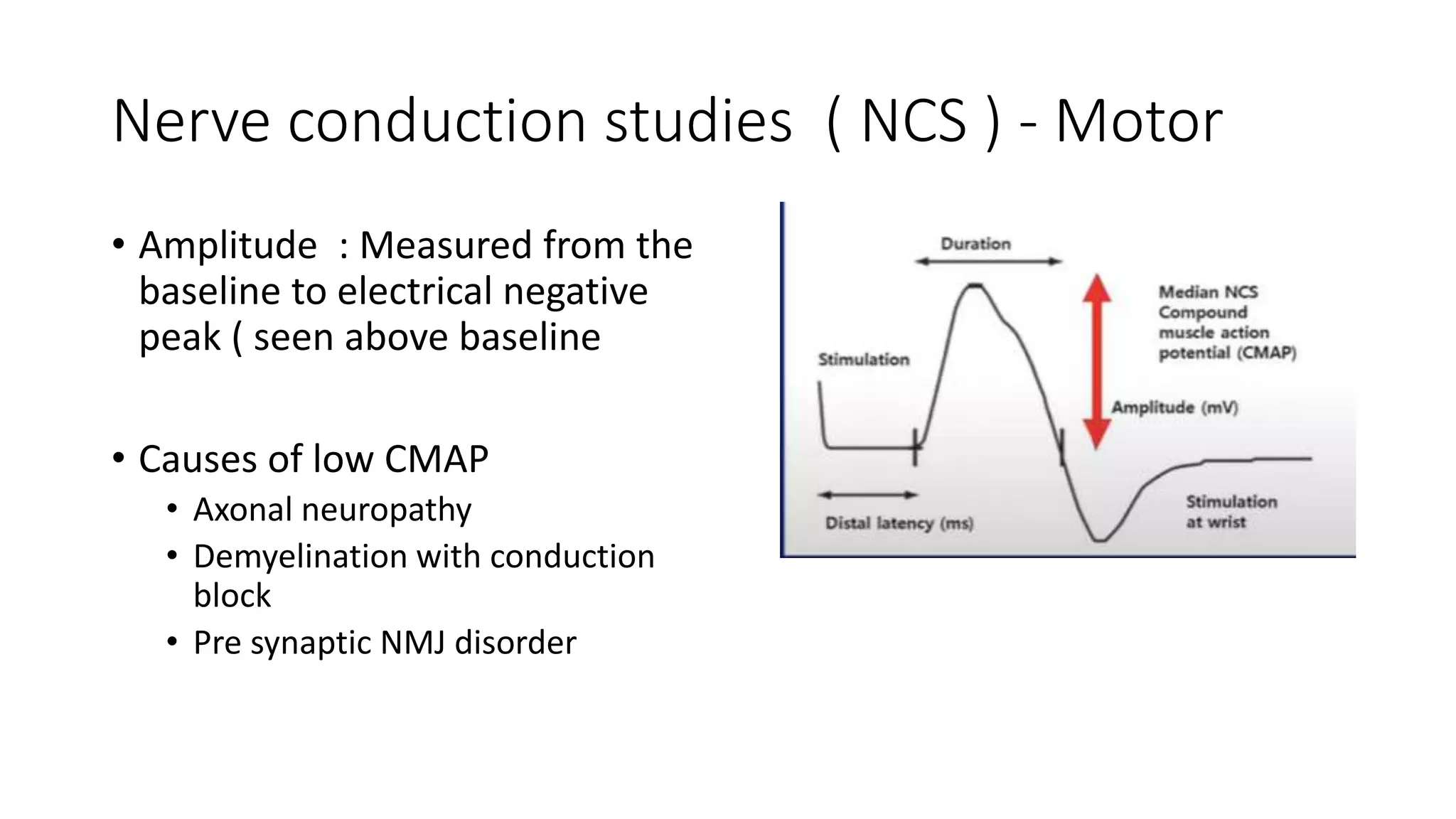 Nerve conduction studies | PPTX