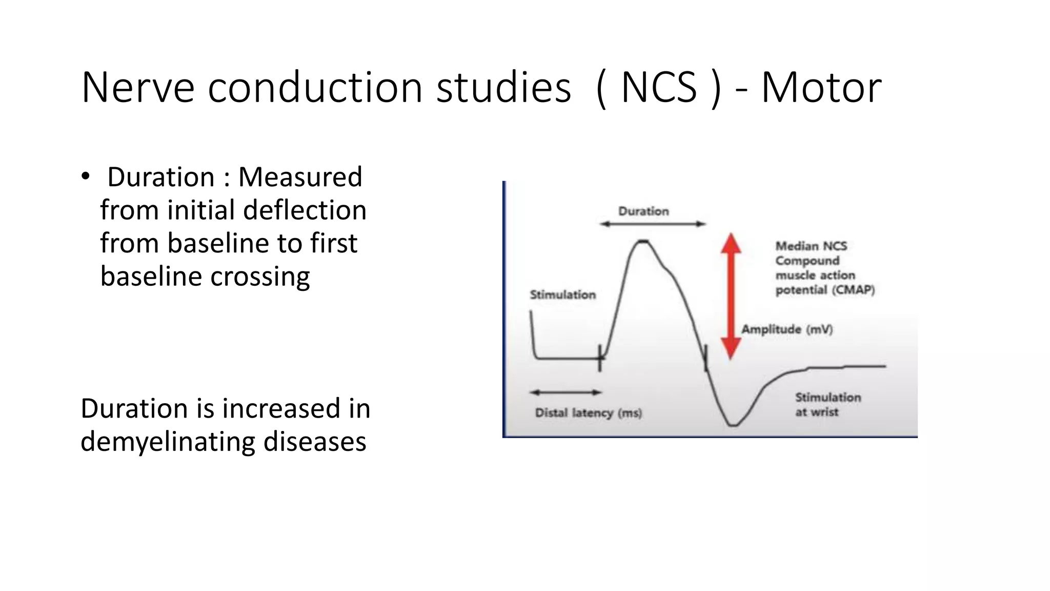 Nerve conduction studies | PPTX