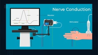 Nerve conduction studies for physiotherapy.pptx
