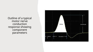 Nerve conduction studies for physiotherapy.pptx