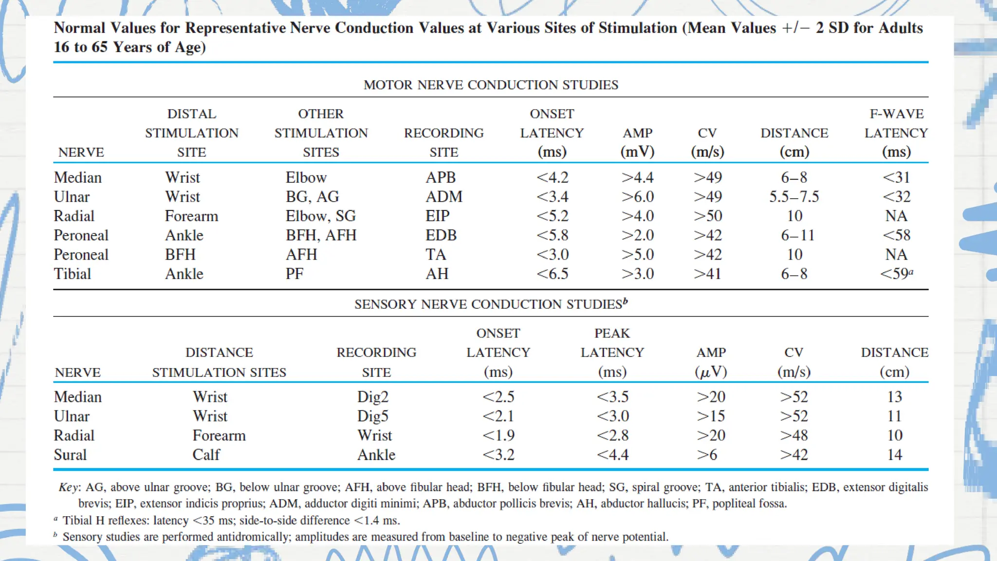 Nerve Conduction Study or NCS, Motor Conduction Study, Sensory Conduction Study, F Wave, H ...