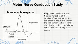 Nerve Conduction Study or NCS, Motor Conduction Study, Sensory Conduction Study, F Wave, H ...