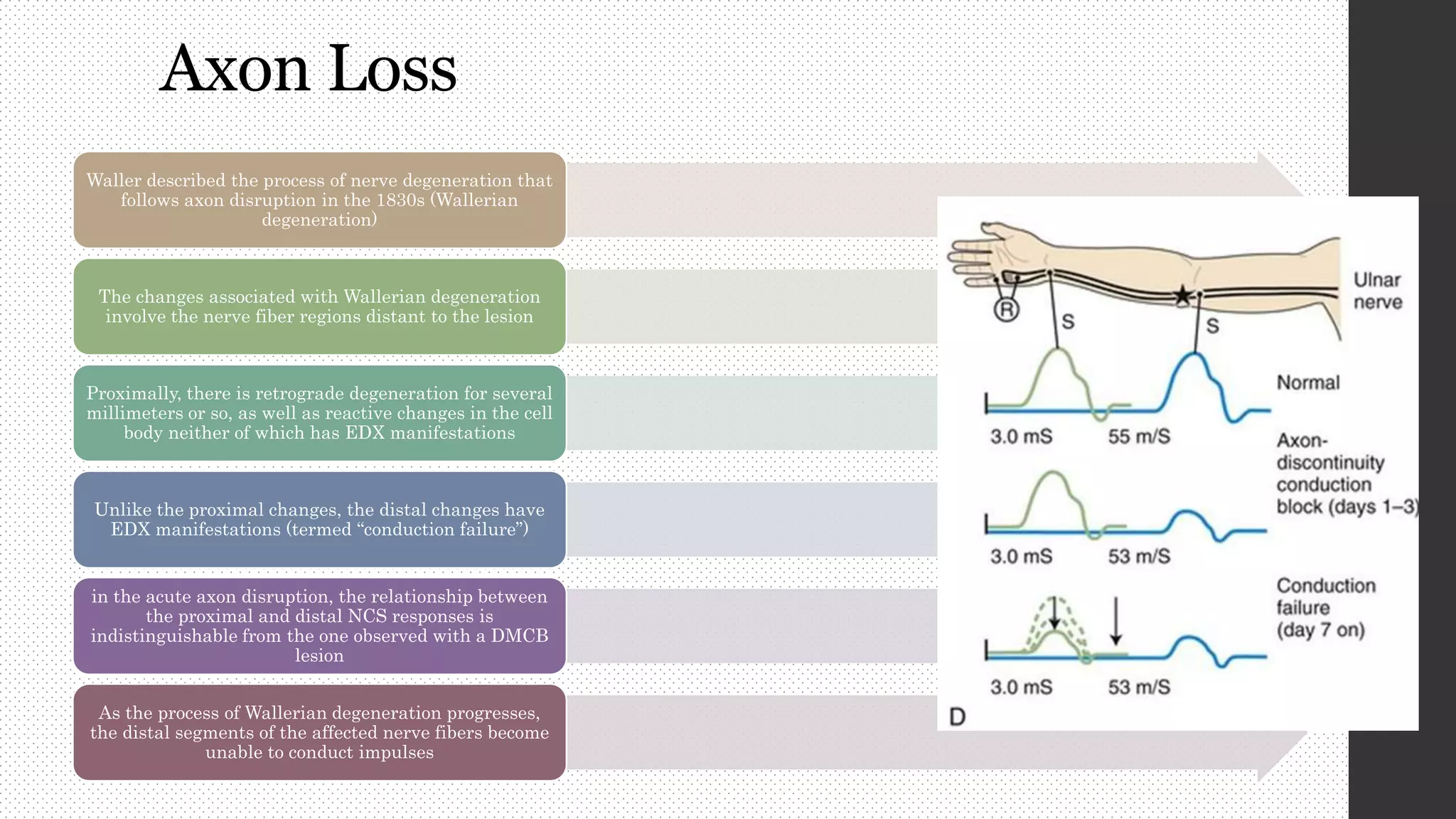 Nerve conduction study (ncs) | PPTX