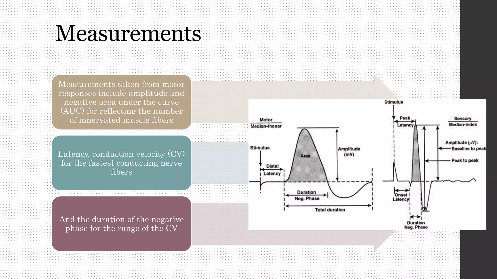 Nerve conduction study (ncs) | PPTX