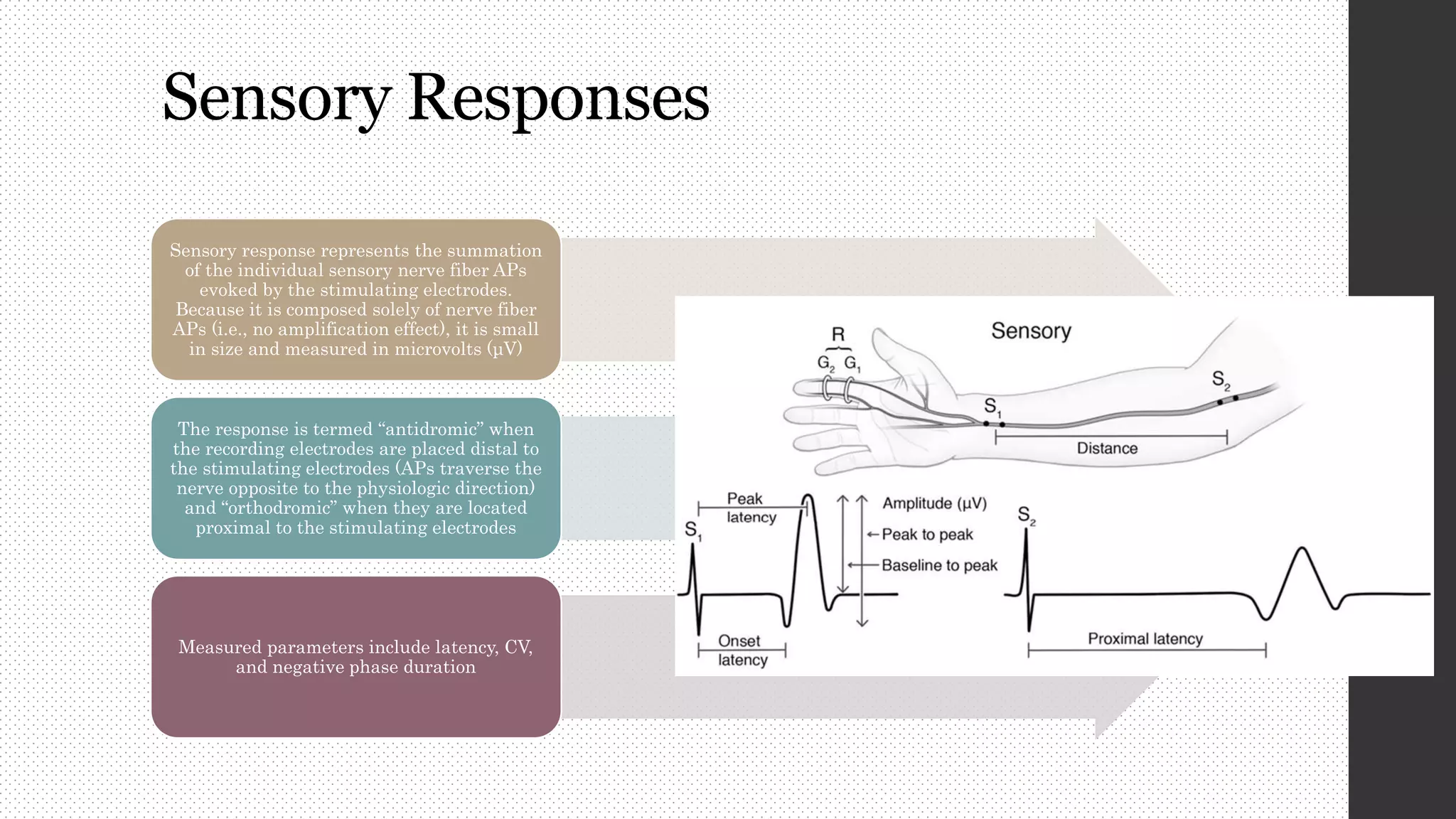 Nerve conduction study (ncs) | PPTX