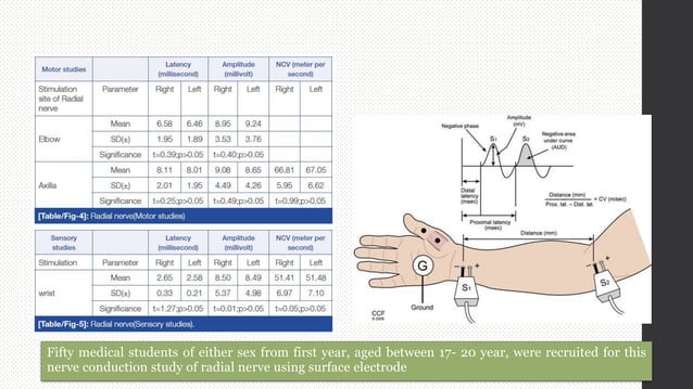 Nerve conduction study (ncs) | PPTX | Brain and Nervous System ...