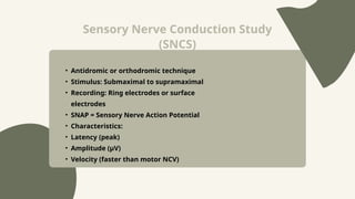 Nerve Conduction Velocity (NCV) Study: Principles, Procedure & Clinical ...