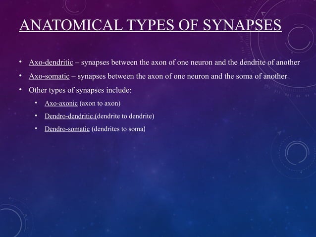 Nerve endings, synapses (1).ppt therapy class MEI and I have | PPT