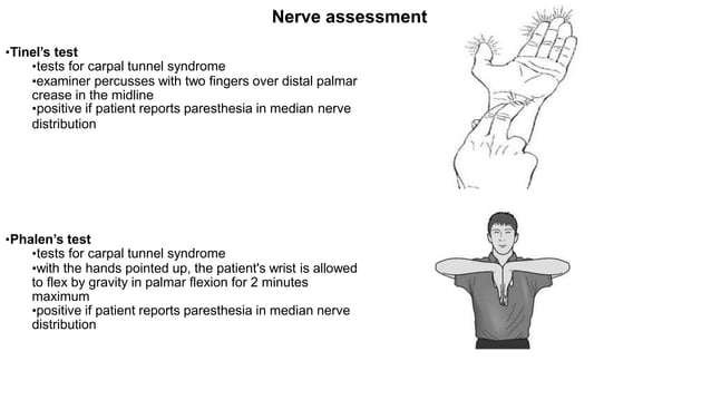 Nerve examination (upper limb and hands) | PPT