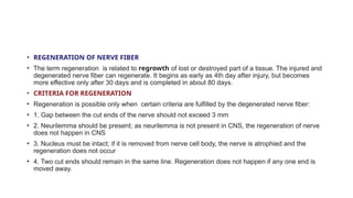 Nerve fiber _ degeneration_regeneration.pptx