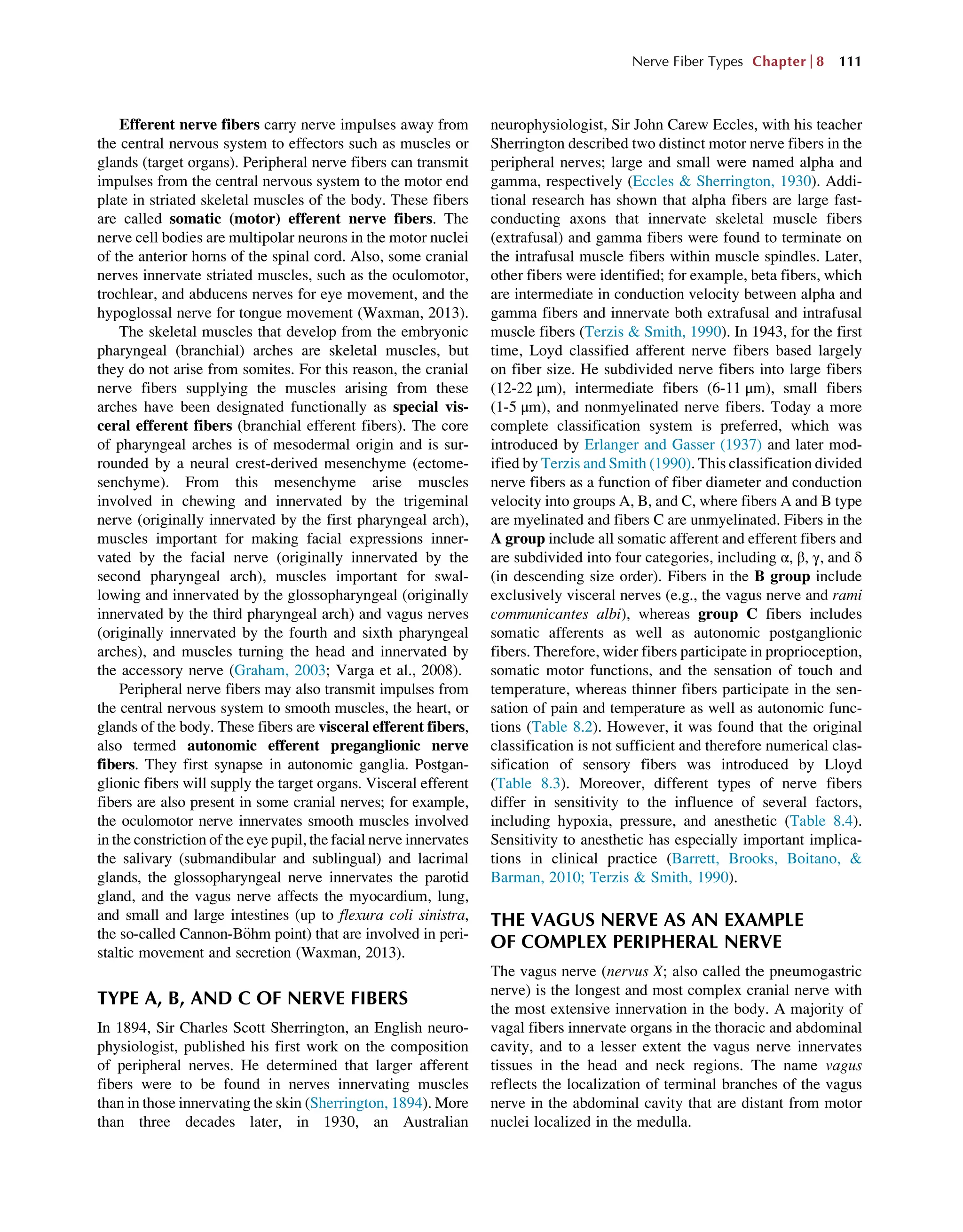 Nerve Fibers Types aaaaaaaaaaaaaaaaaaaaaaaaaaaaaaaaaa | PDF