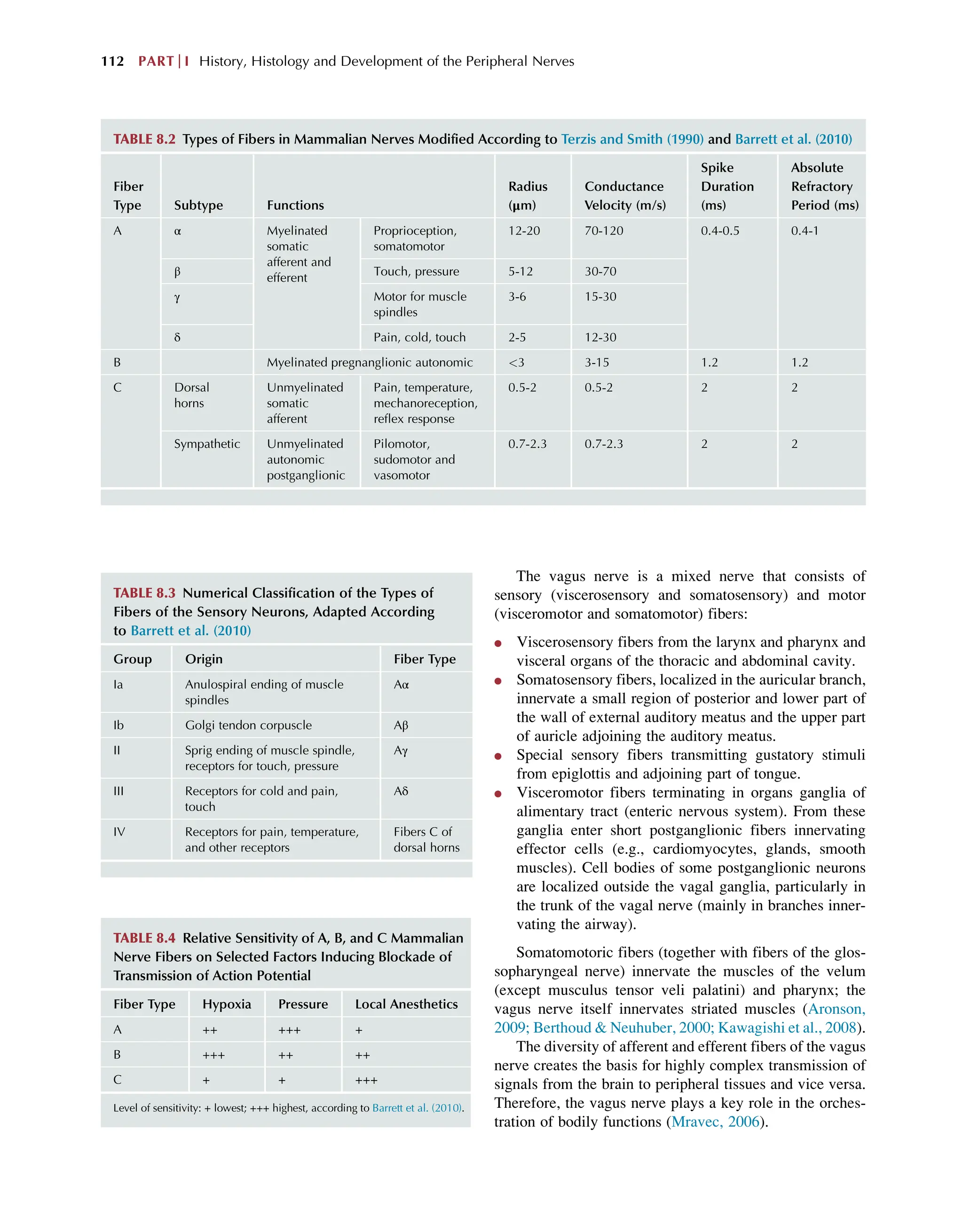 Nerve Fibers Types aaaaaaaaaaaaaaaaaaaaaaaaaaaaaaaaaa | PDF