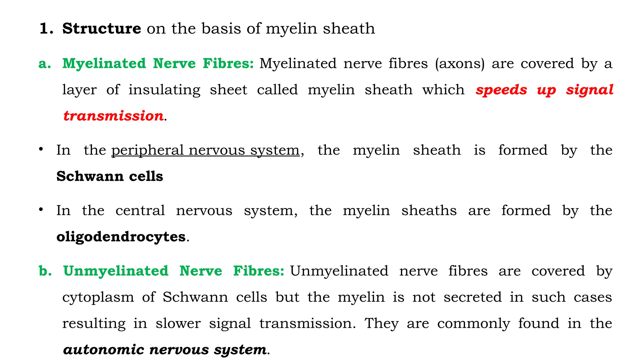 Classification and Properties of Nerve Fibre.pptx