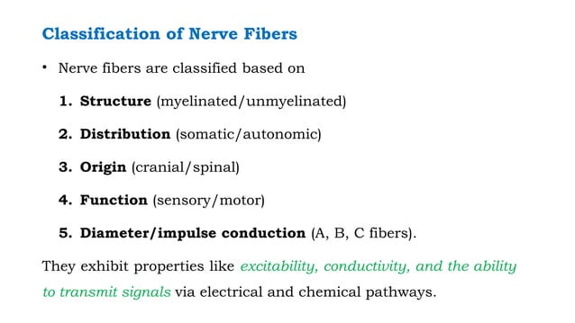 Classification and Properties of Nerve Fibre.pptx