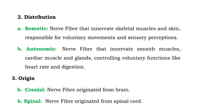 Classification and Properties of Nerve Fibre.pptx