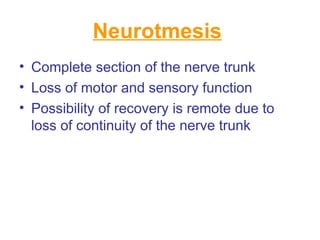 Nerve fibre final ...