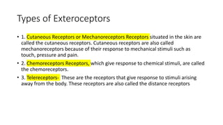 NERVE FIBRES, RECEPTORS & NEUROTRANSMITTERS.pptx