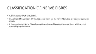 NERVE FIBRES, RECEPTORS & NEUROTRANSMITTERS.pptx