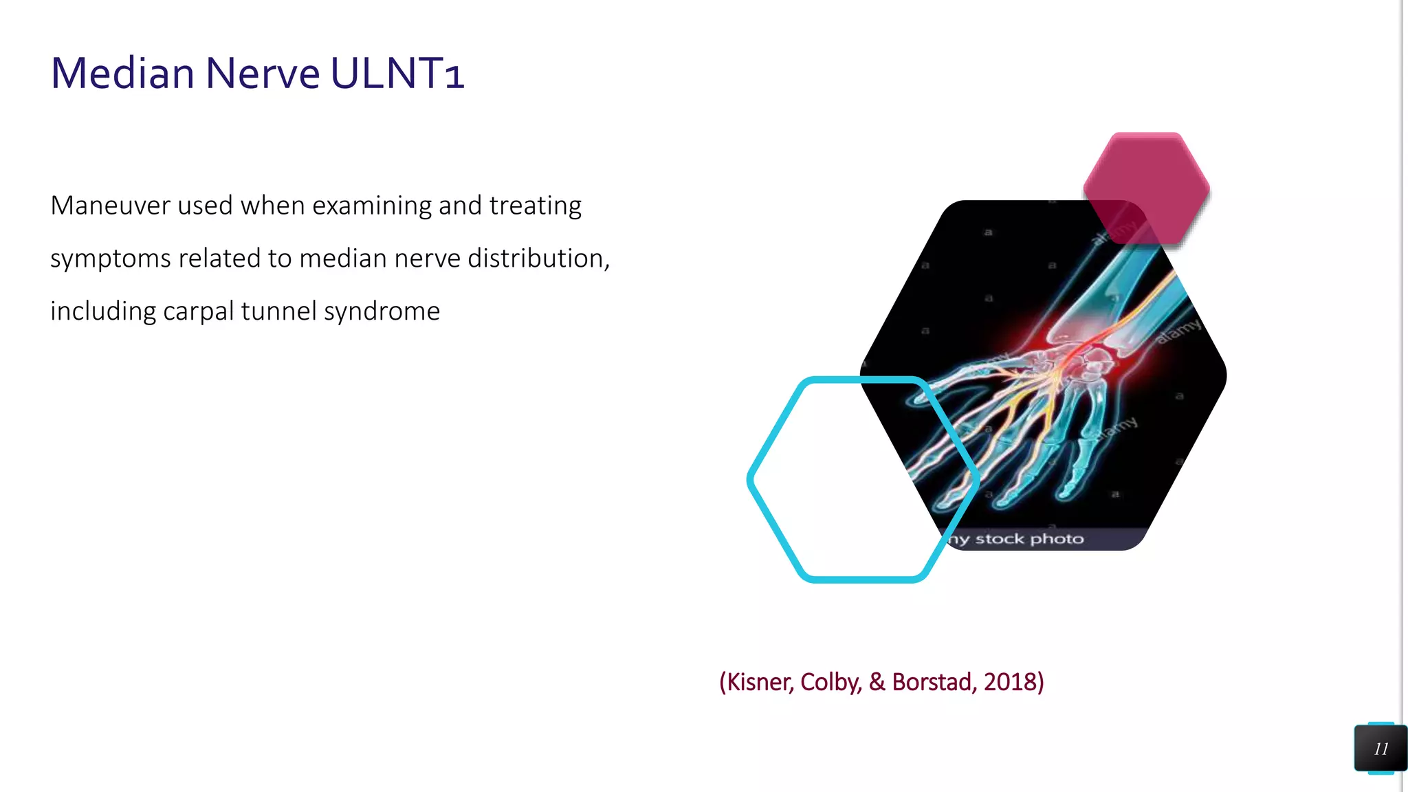 Neurodynamics | PPTX